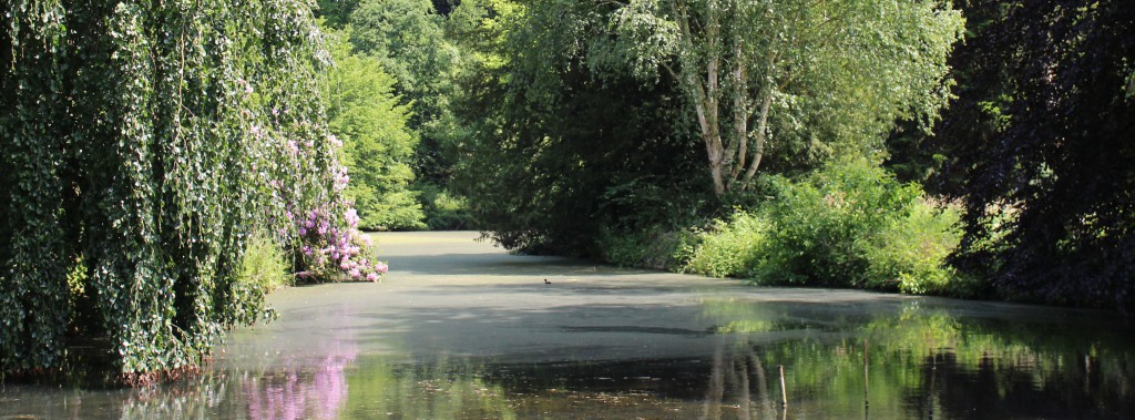 abbaye_etang_parc